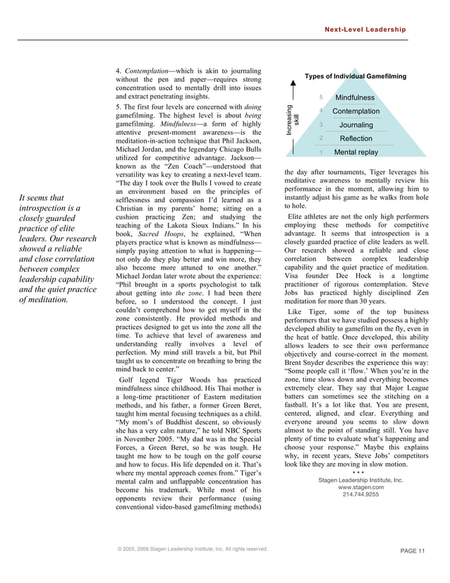 Next Level Leadership STAGEN | PDF