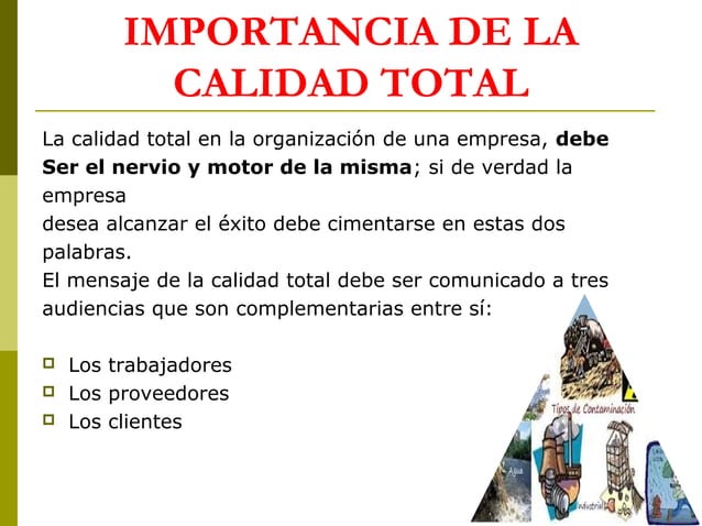 Calidad Total | PPT | Business | Business and Finance