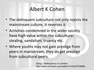 Crime and Deviance - Subcultural Approach | PPT