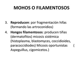 3 caracteristicas generales de los hongos | PDF
