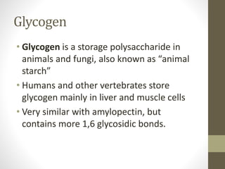 AS Biology- Carbohydrates 2 | PPTX