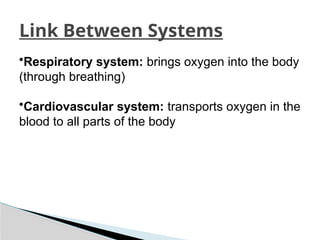 Overview of Cardiovascular and Respiratory Systems and Their Response ...