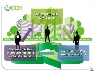 CCN MARKETING PLAN AND CASH FLOW | PPT