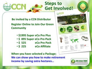 CCN MARKETING PLAN AND CASH FLOW | PPT