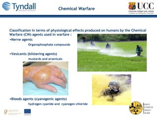 Anna-Maria Hogan | PPT