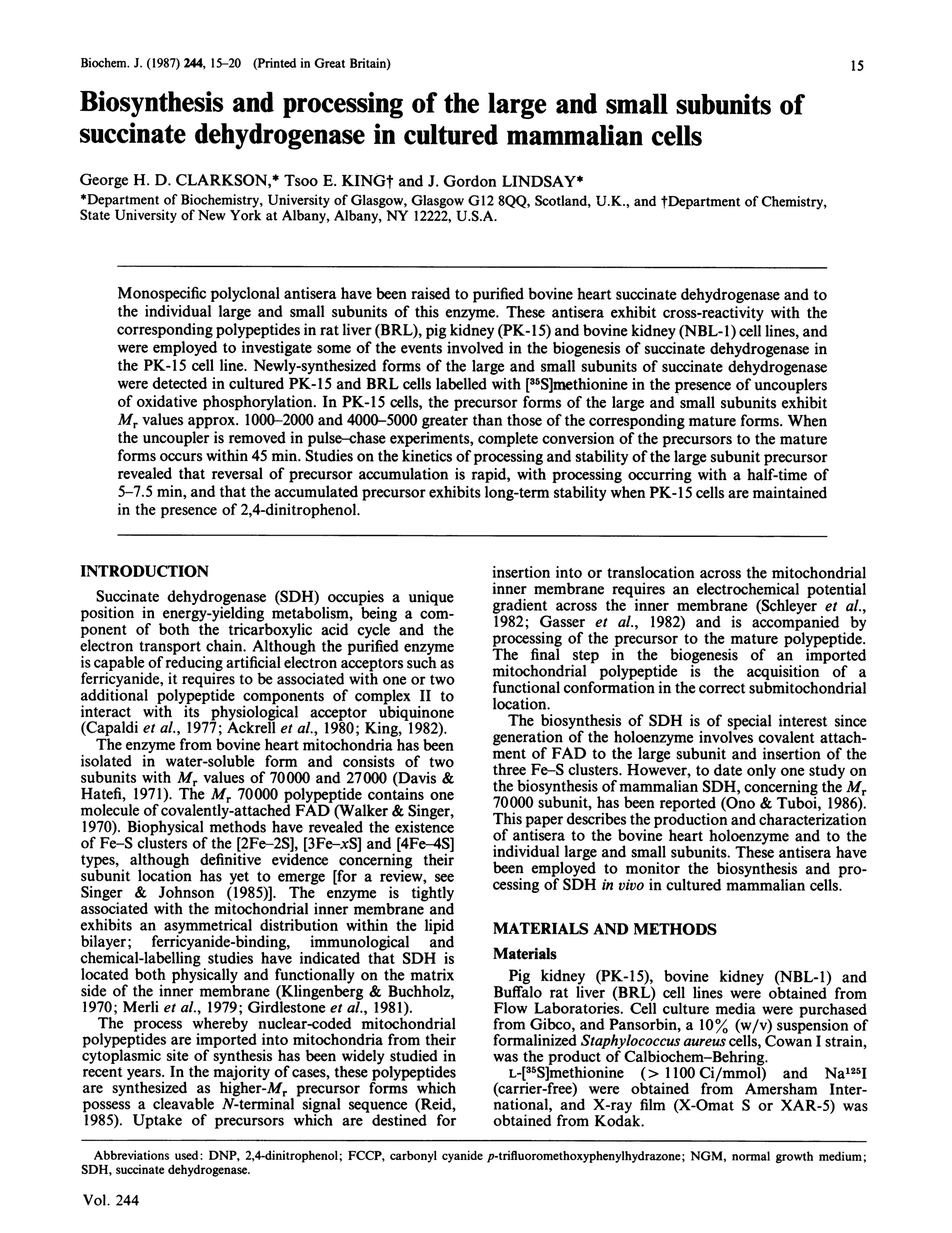 Clarkson et al. Biochem J 1987 | PDF