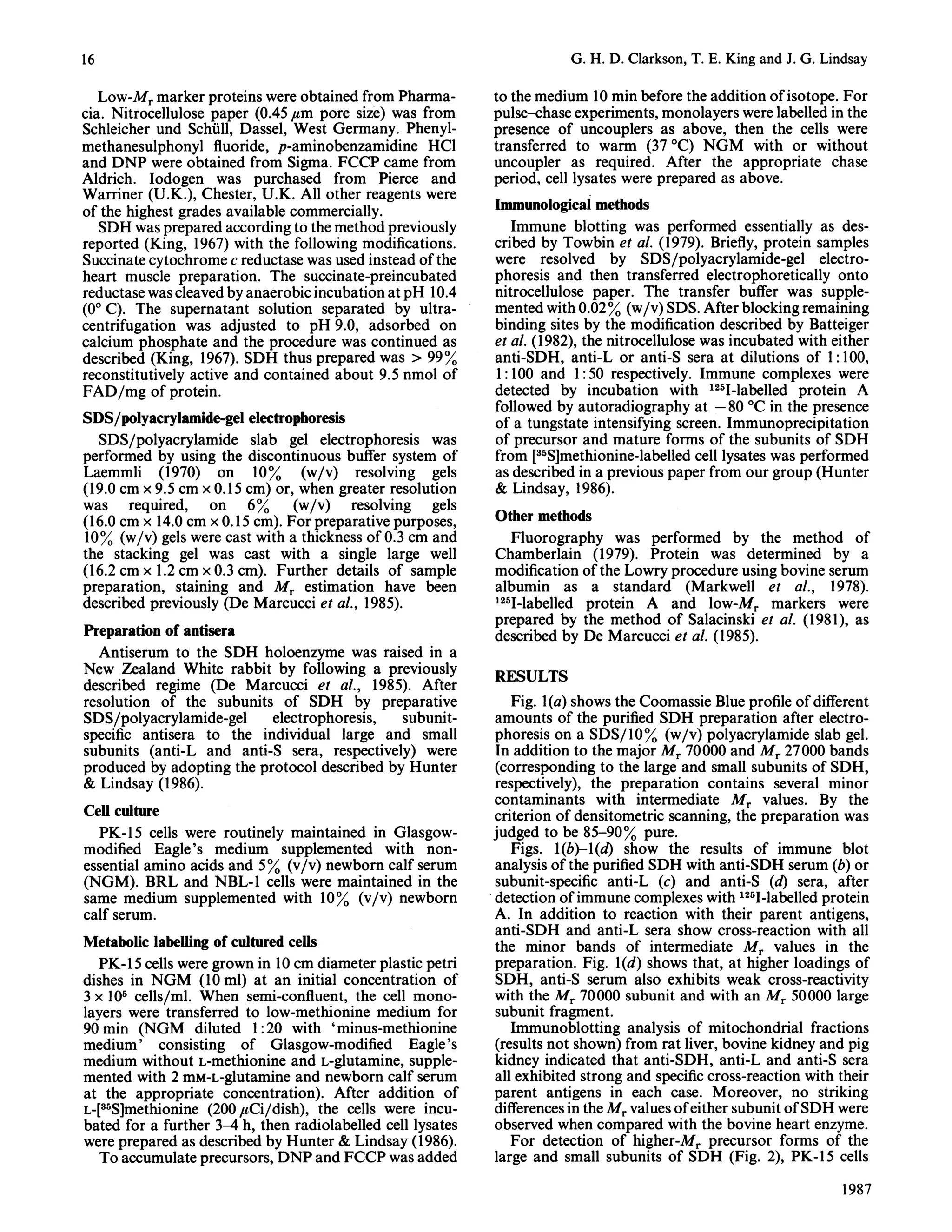 Clarkson et al. Biochem J 1987 | PDF