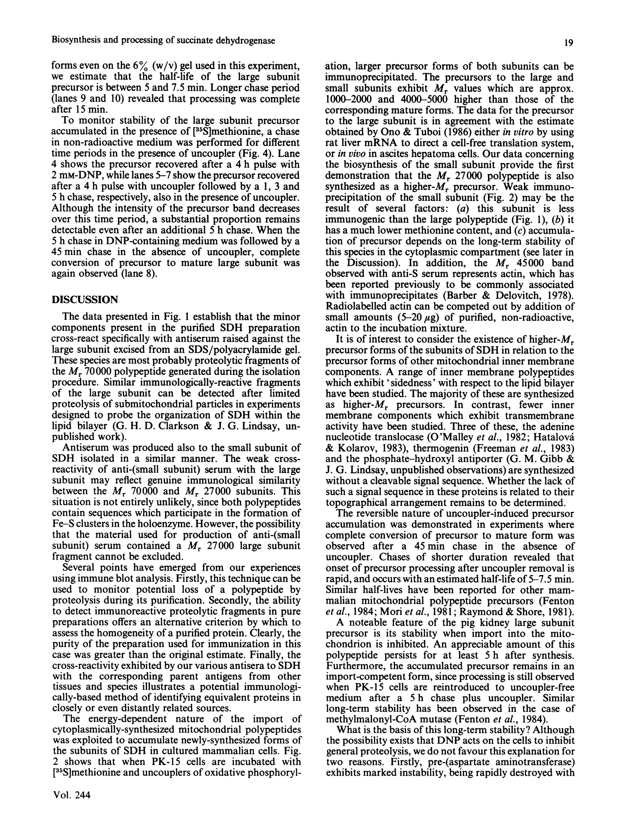 Clarkson et al. Biochem J 1987 | PDF