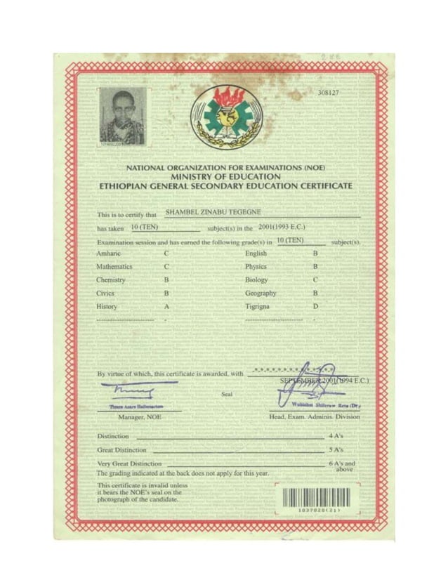 Shambel's Document | DOCX