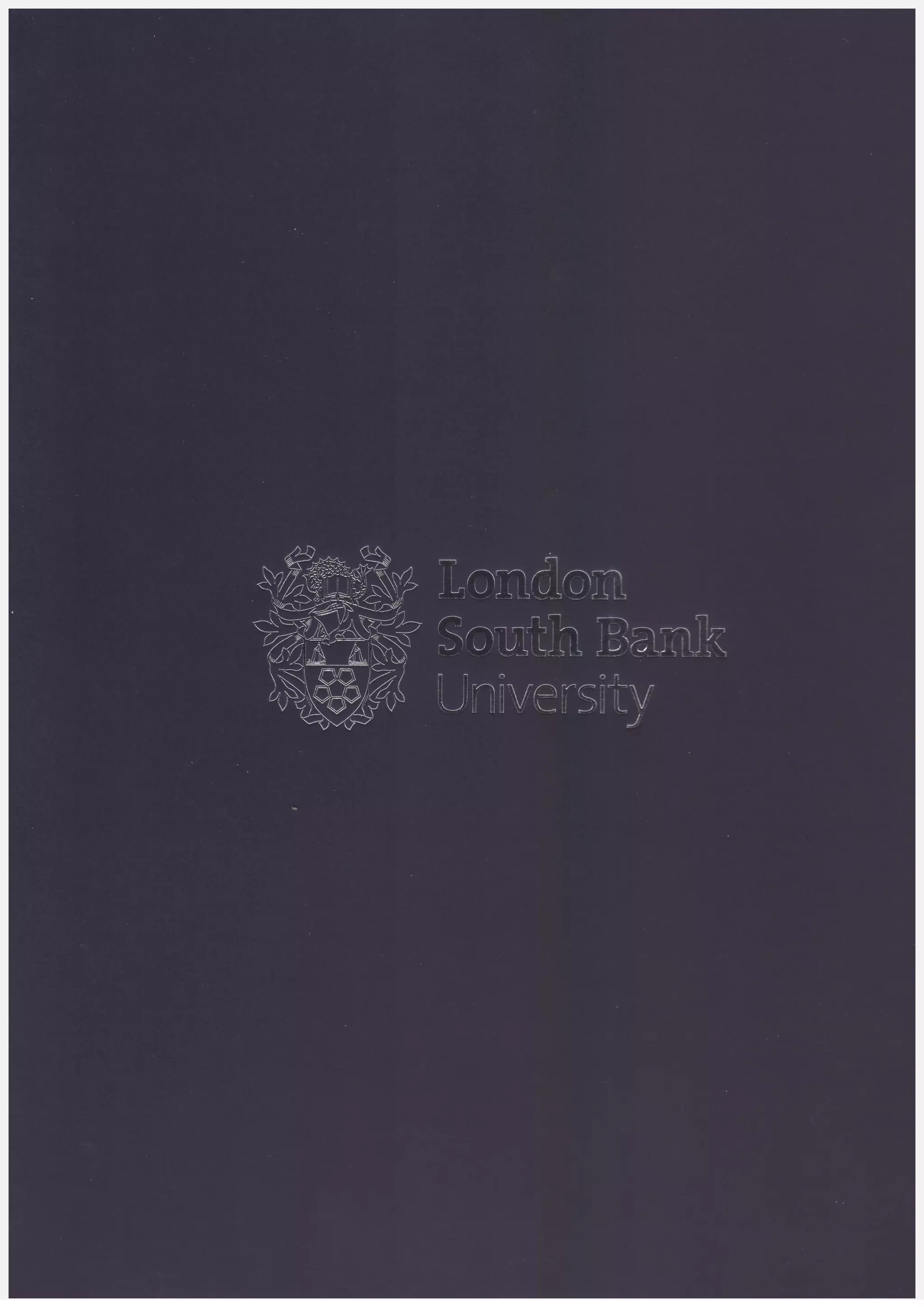 Bachelors Degree | PDF