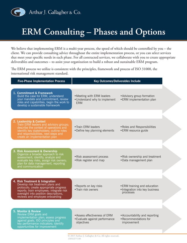 ERM Consulting Overview | PDF