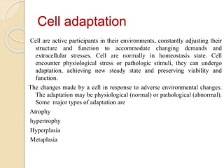 3 Cell adaptation by Ashiq wazir | PPTX | Pregnancy | Reproductive Health