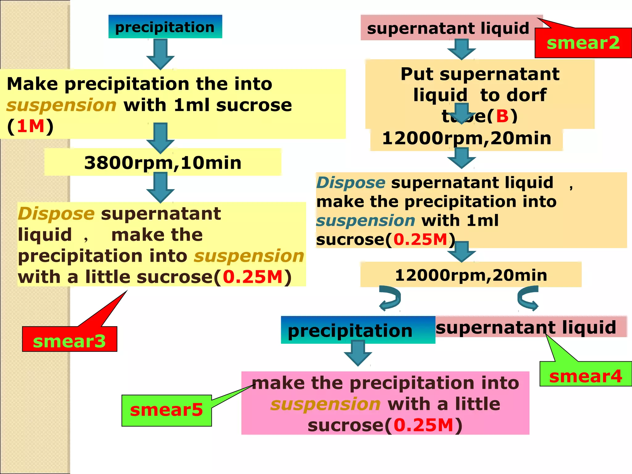 3cell fractionation | PPT