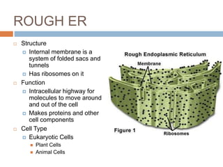 3_cell_organelles_1011 (1).ppt