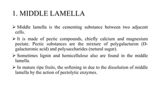 cell wall cell membrane.pptx