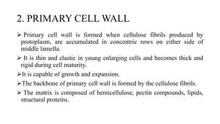 cell wall cell membrane.pptx