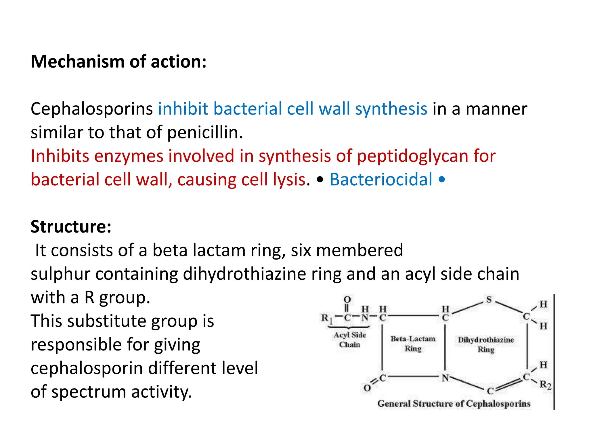 Pharmaceutical note on cephalosporins.pptx