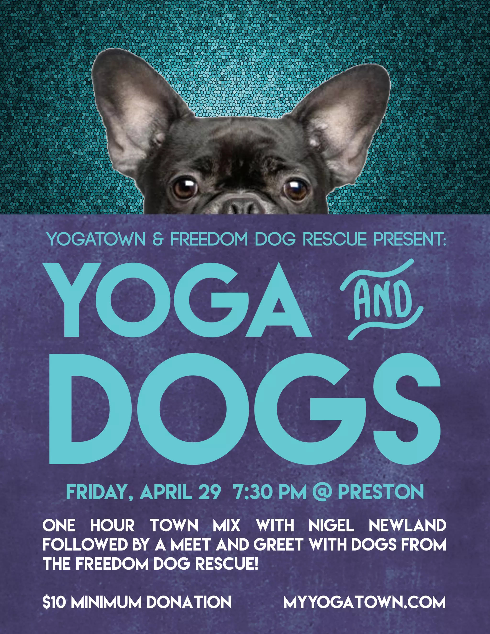 Yoga and Dogs Poster | PDF