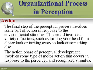3 chapter psy_behavior_ji | PPT
