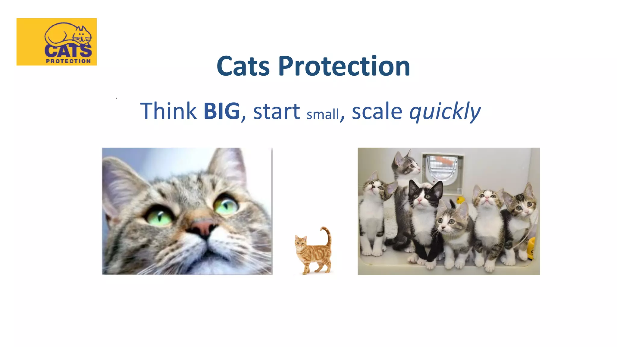 Think big, start small and scale quickly | PPT