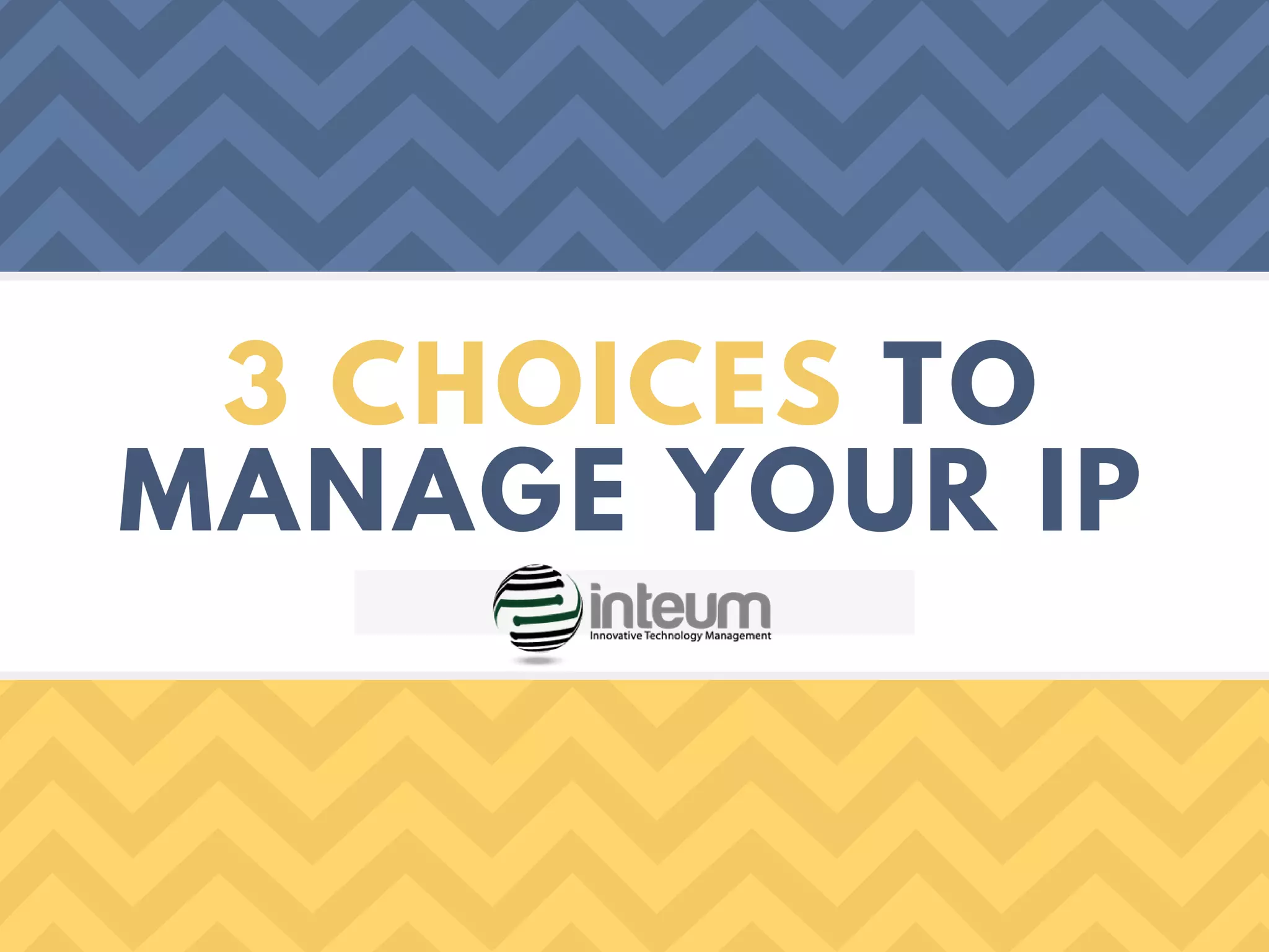 3 choices to manage your ip | PPT