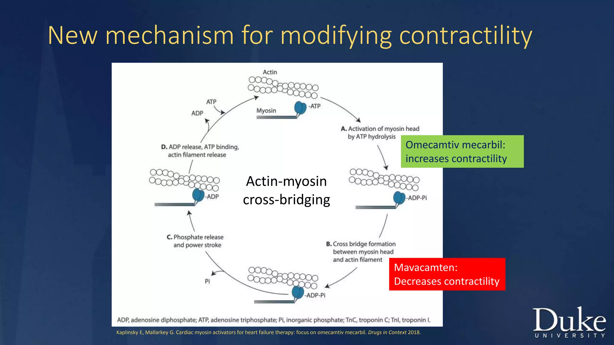 Myosin Modulators: Omecamtiv and Mavacamten | PPTX