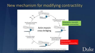 Myosin Modulators: Omecamtiv and Mavacamten | PPTX