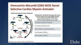 Myosin Modulators: Omecamtiv and Mavacamten | PPTX