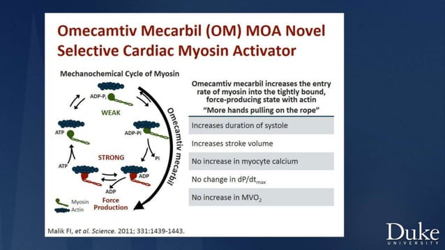 Myosin Modulators: Omecamtiv and Mavacamten | PPTX | Heart and Cardiovascular Diseases ...