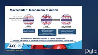 Myosin Modulators: Omecamtiv and Mavacamten | PPTX