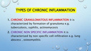 CHRONIC INFLAMMATION | PPTX
