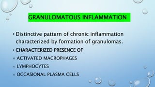 CHRONIC INFLAMMATION | PPTX