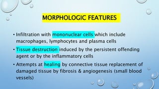 CHRONIC INFLAMMATION | PPTX