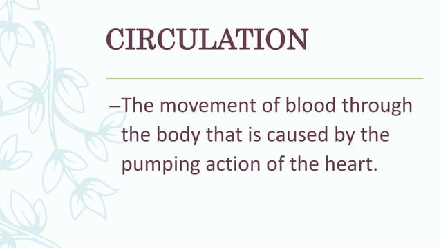 Circulation | PPTX
