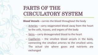 Circulation | PPTX