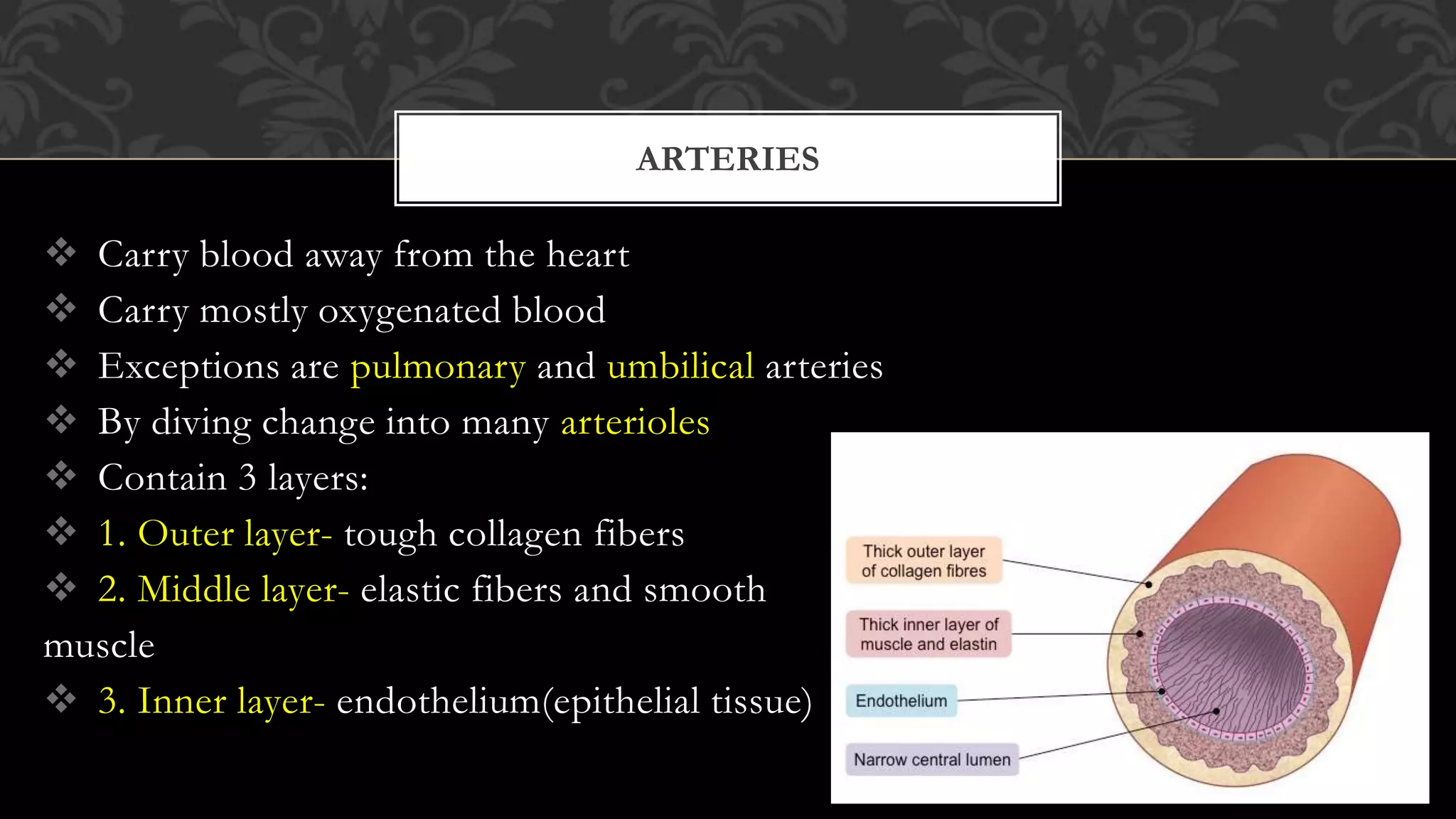 AS Biology-Circulation in the blood vessels | PPT