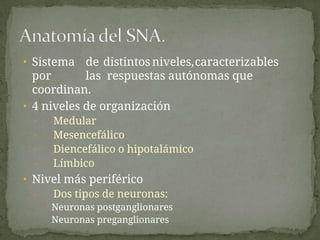 3 CLASE 3 SISTEMA NERVIOSO AUTONOMO.pptx