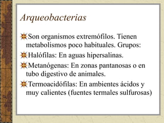 TEMA 5_1 CLASIFICACION DE LOS SERES VIVOS | PDF