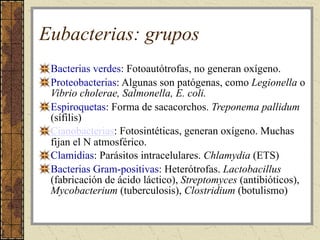 TEMA 5_1 CLASIFICACION DE LOS SERES VIVOS | PDF
