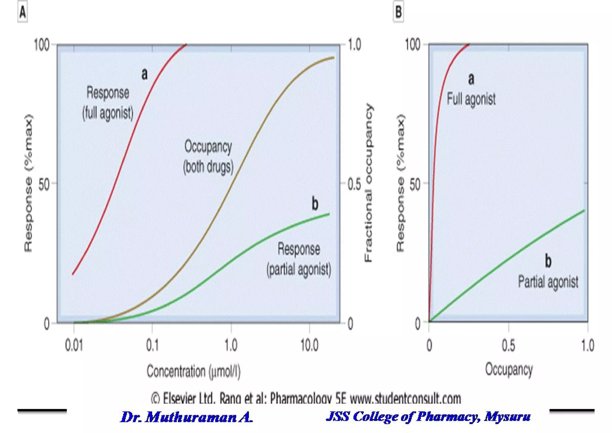 3 classification of receptors | PPT