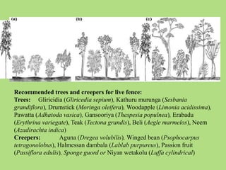 3 Climate change mitigation and adaptation | PPT