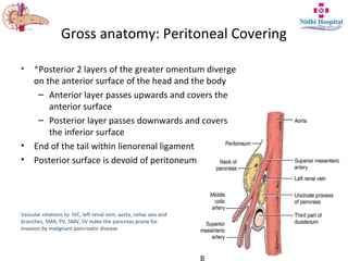 Resectional Anatomy of Pancreas | PPT