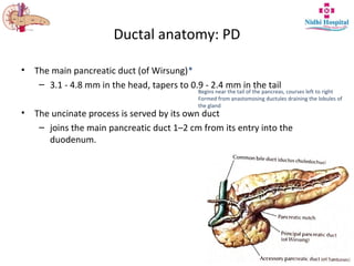 Resectional Anatomy of Pancreas | PPT