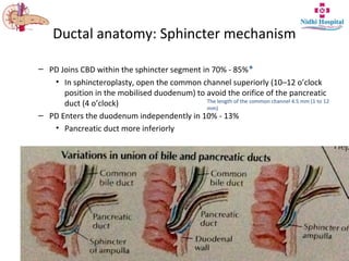Resectional Anatomy of Pancreas | PPT
