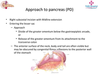 Resectional Anatomy of Pancreas | PPT