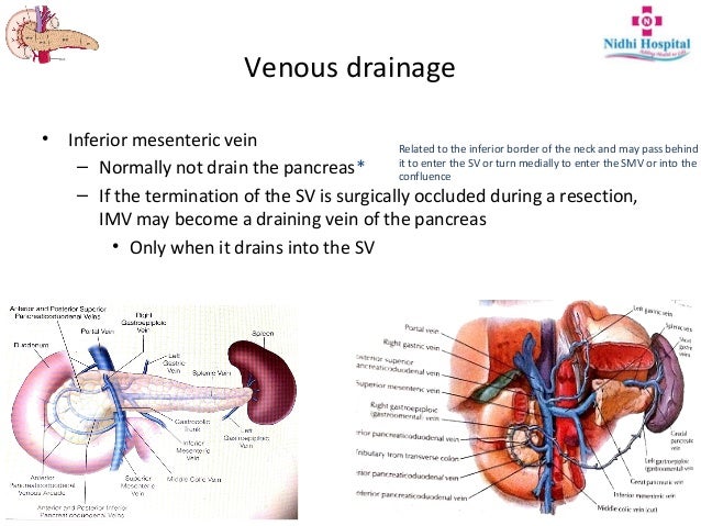 Resectional Anatomy of Pancreas