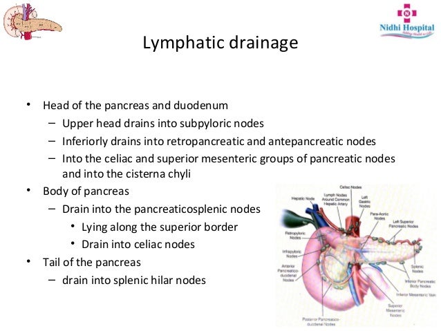 Resectional Anatomy of Pancreas