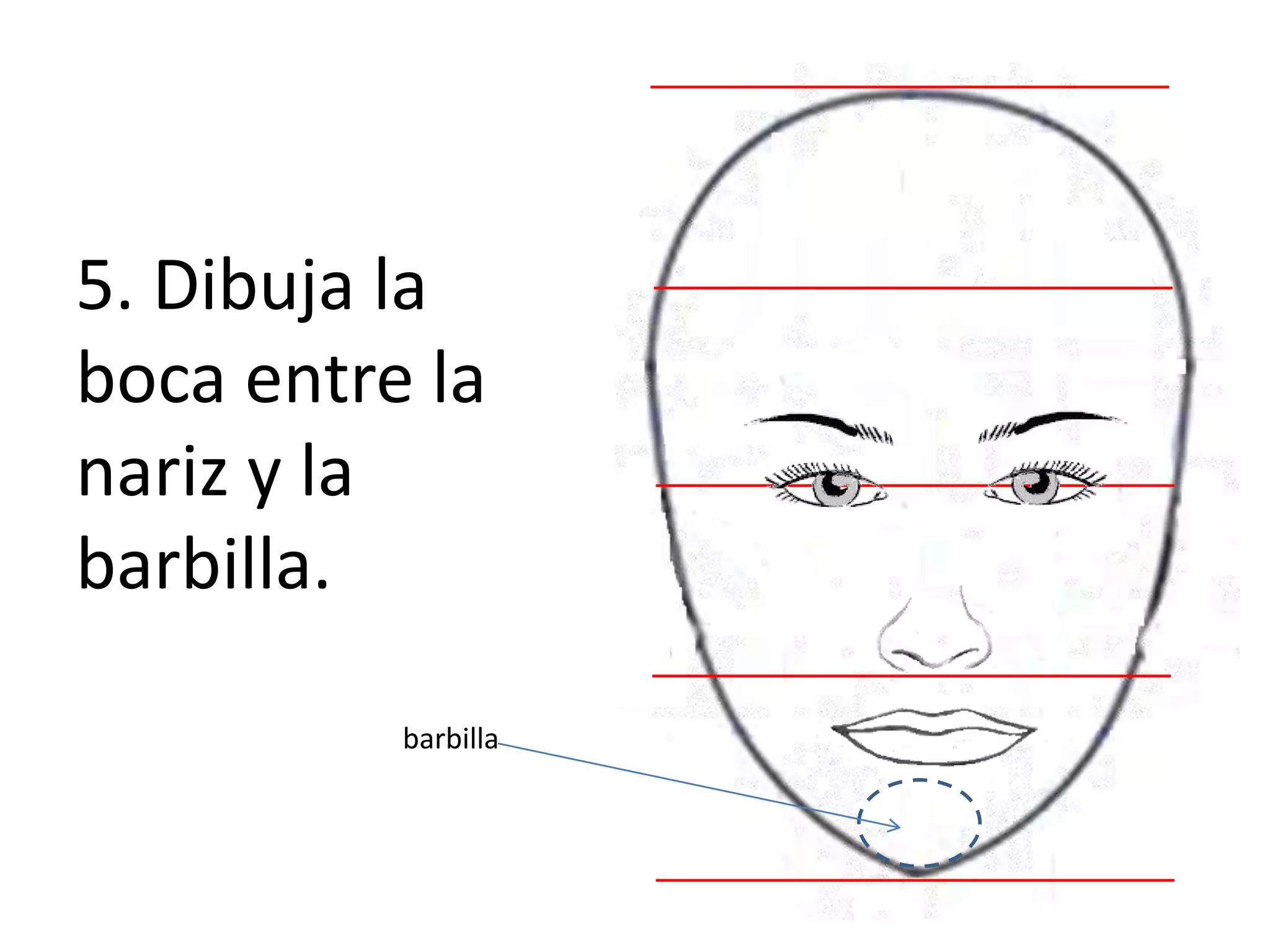 Cómo Dibujar Un Rostro Proporciones Del Rostro Ppsx