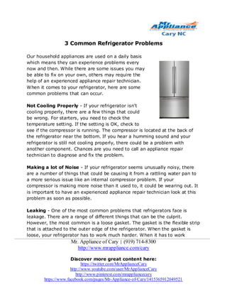 3 Common Refrigerator Problems | PDF