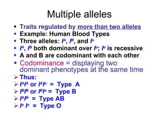 Chapter 19 Heredity Lesson 3 - Complete and Incomplete Dominance ...